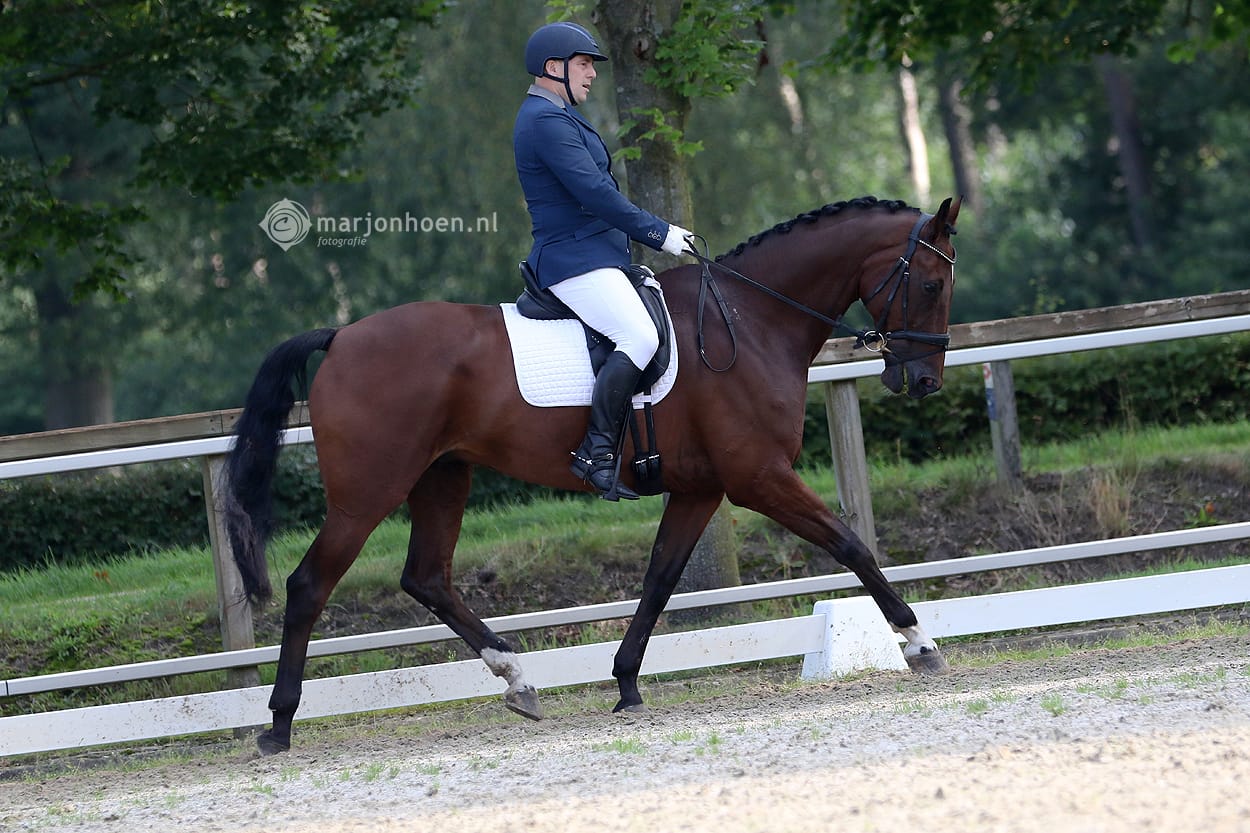Mandy Damoiseaux wint Kür-finale bij de Zilveren Ster Paarden 2021 | De ...